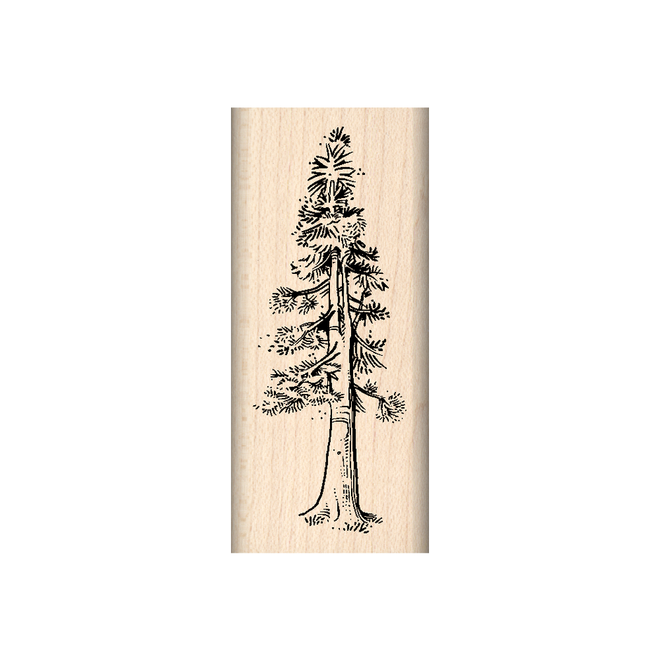 Tree Rubber Stamps by Stamps by Impression